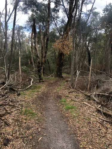 Langwarrin Flora and Fauna Reserve: de beste routes om te wandelen ...