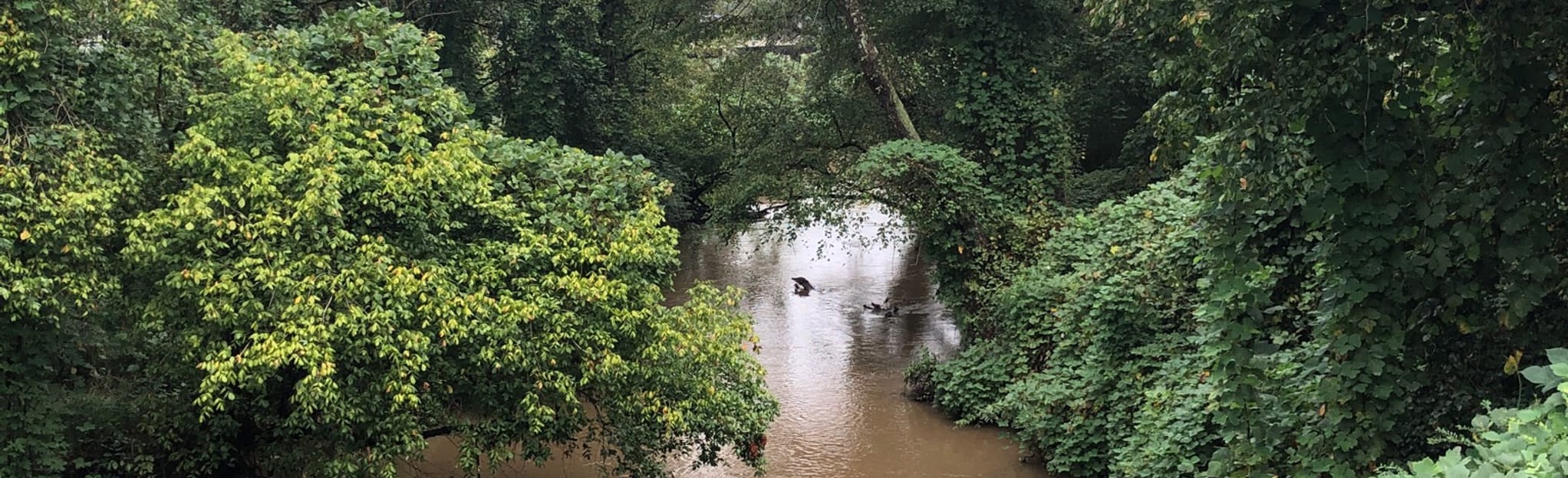 Noonday Creek Trail: Woofstock Park to Alabama Road, Georgia - 343 ...