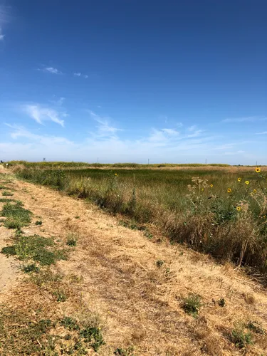 2023 Best Easy Trails in Merced | AllTrails