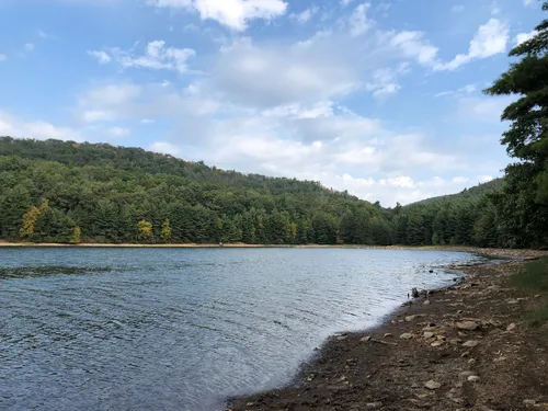10 Best Hikes and Trails in Michaux State Forest | AllTrails