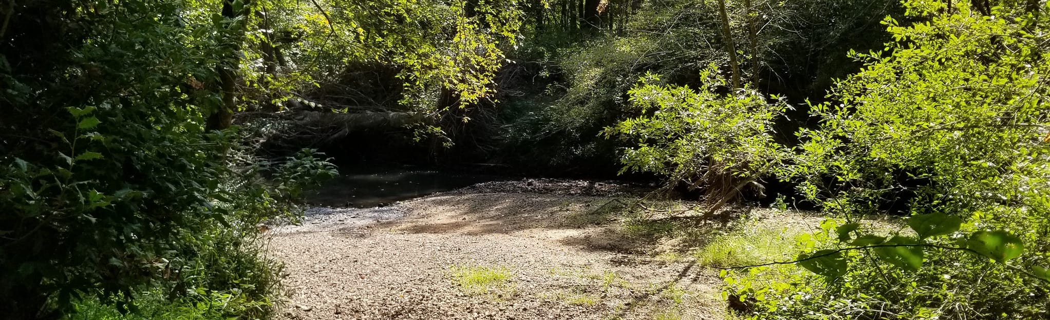 Discovery Loop Trail: 37 Reviews, Map - North Carolina | AllTrails