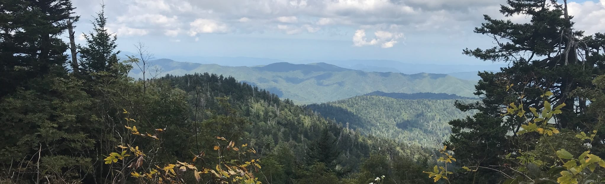 Silers Bald Trail - North Carolina | AllTrails