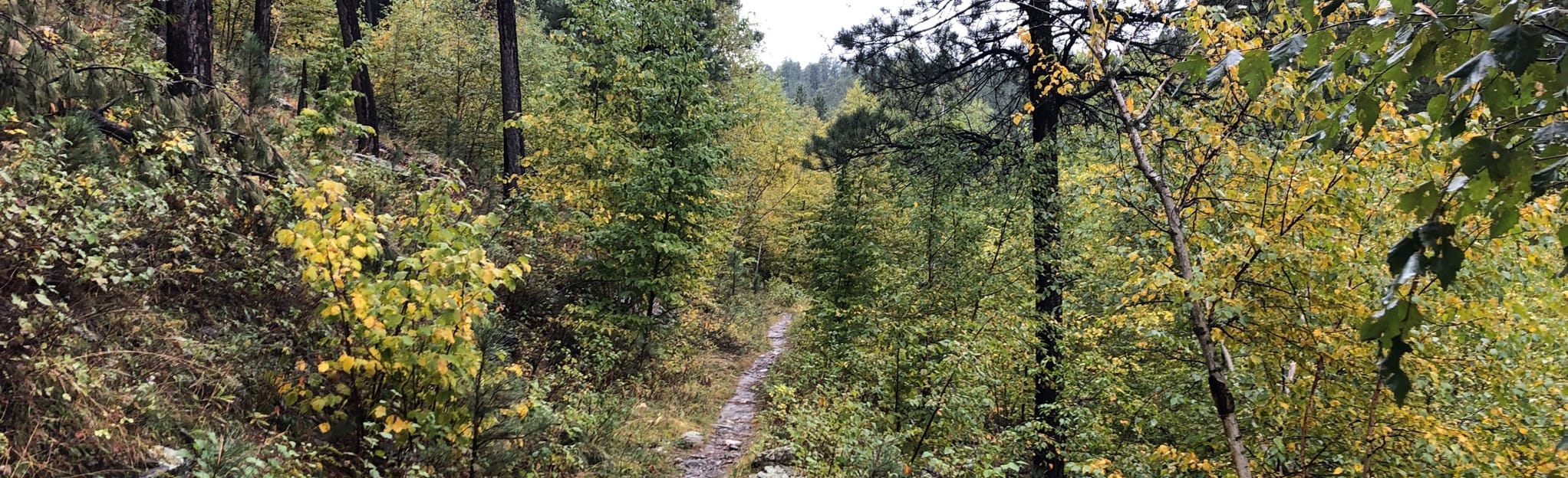 Coon Hollow and Boulder Hill Loop, South Dakota - 190 Reviews, Map ...