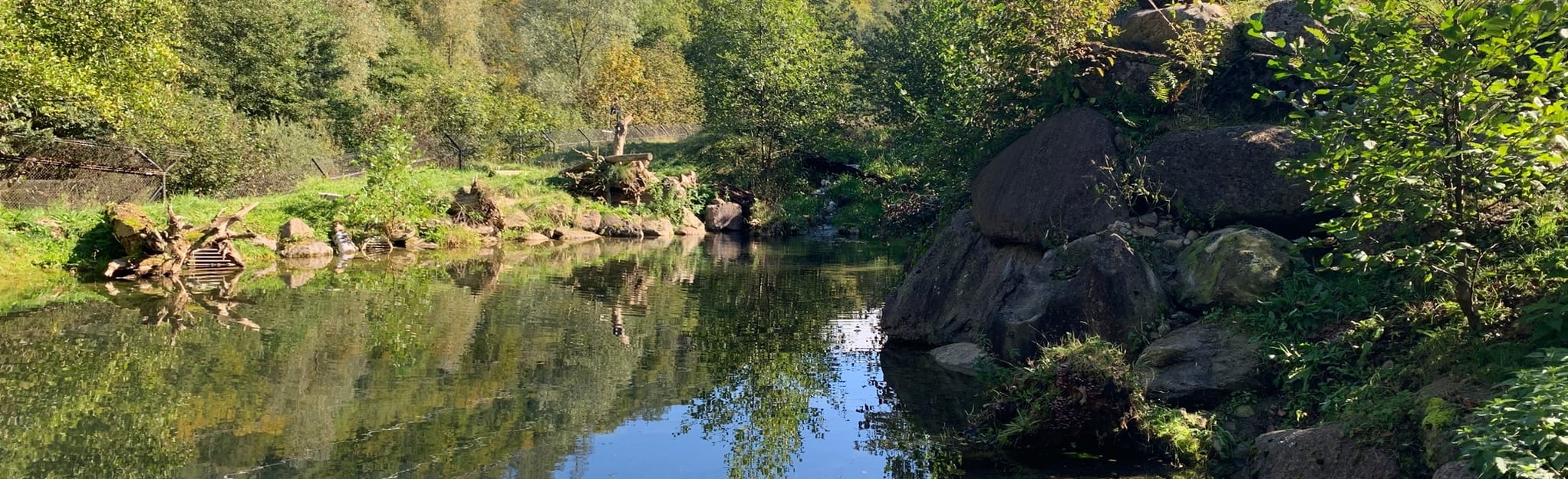 Walderlebnispfad Sihlwald - Zürich, Switzerland | AllTrails
