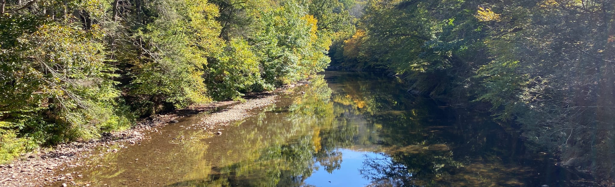 Yellow Circle Blazes Loop: 1493 Reviews, Map - Connecticut | AllTrails