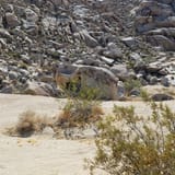 Johnson Valley OHV Tour, California - 7 Reviews, Map | AllTrails