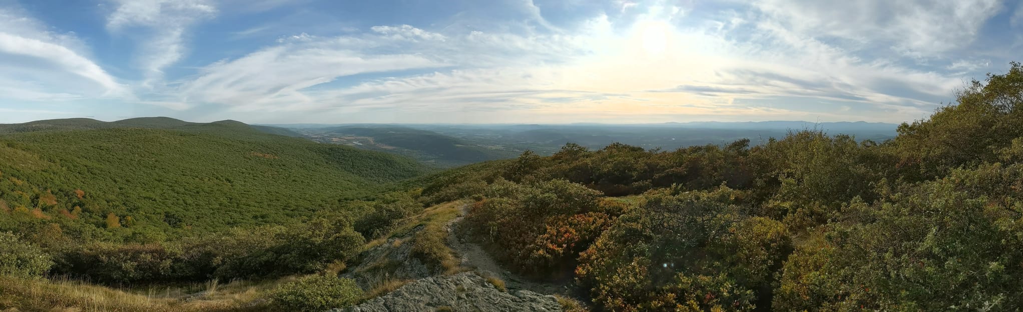 Alander Mountain Trail: 753 Reviews, Map - Massachusetts | AllTrails