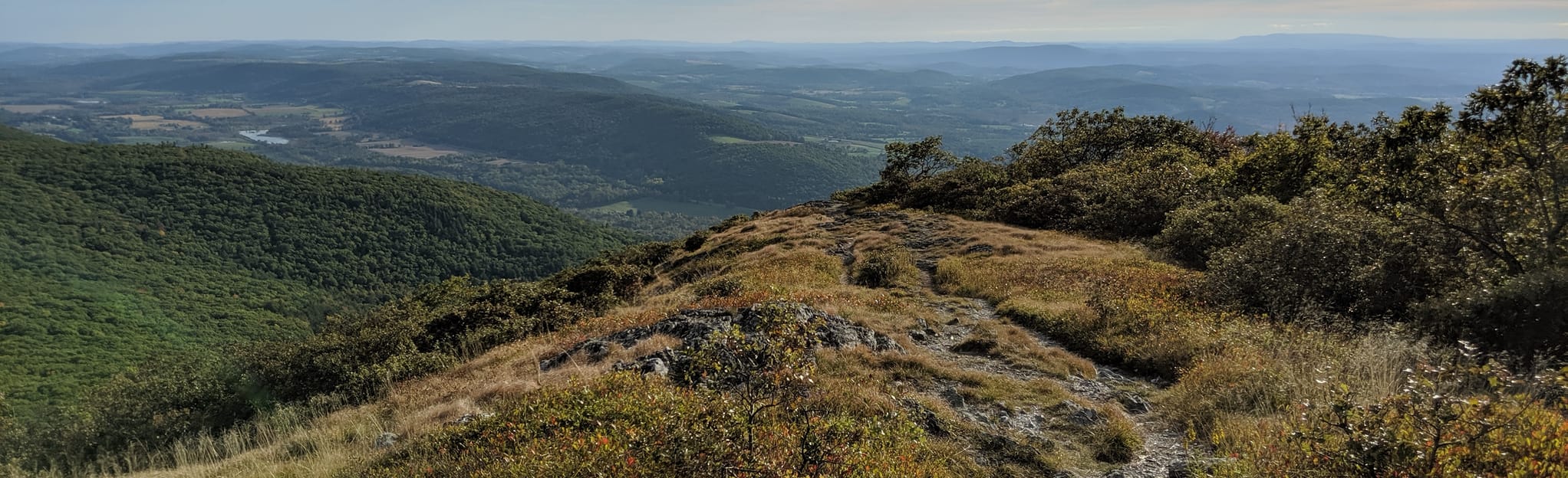 Alander Mountain via Robert Brook and South Taconic Trail: 188 Reviews ...