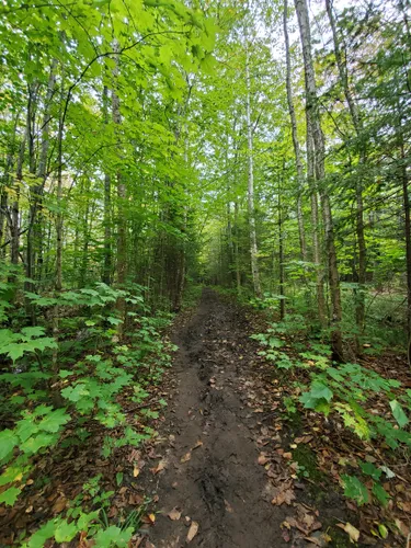 10 Best Backpacking Trails in Michigan | AllTrails
