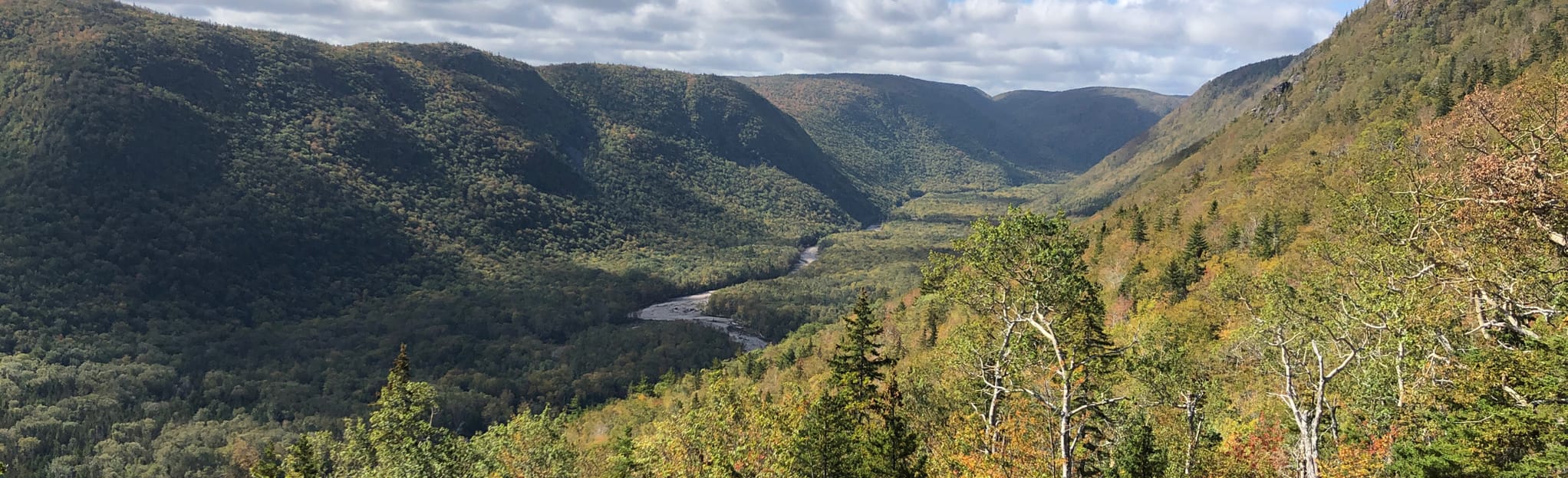 Franey Trail: 963 Reviews, Map - Nova Scotia, Canada | AllTrails