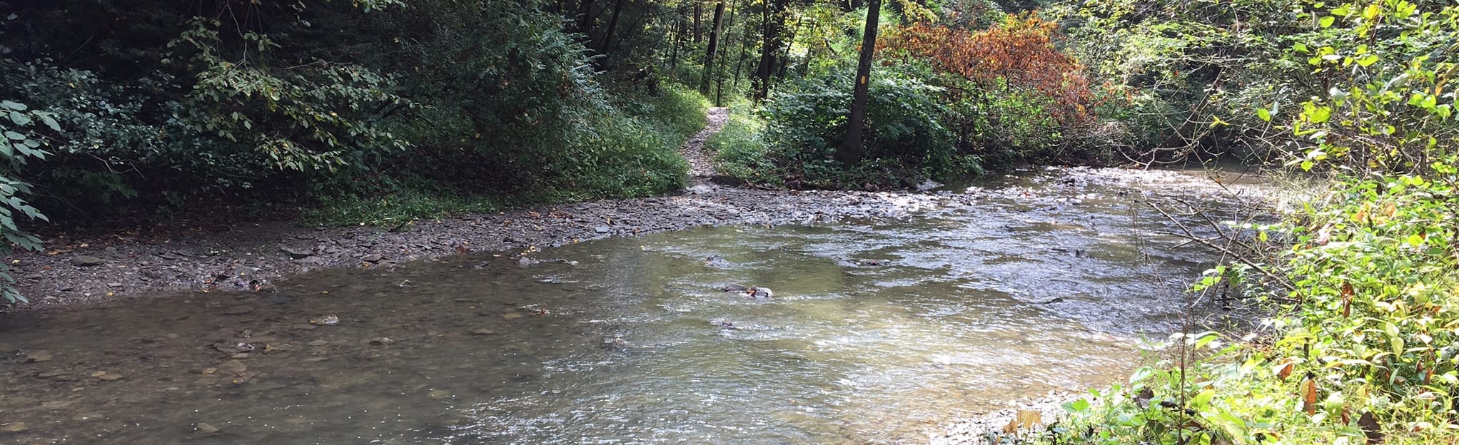 Rachel Carson Trail: North Park to Harrison Hills Park: 286 Reviews ...