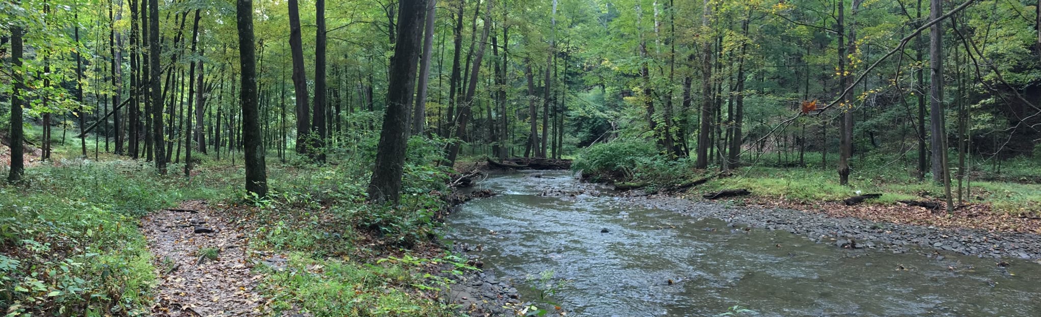 Rachel Carson Trail: North Park to Rt. 8, Pennsylvania - 249 Reviews ...