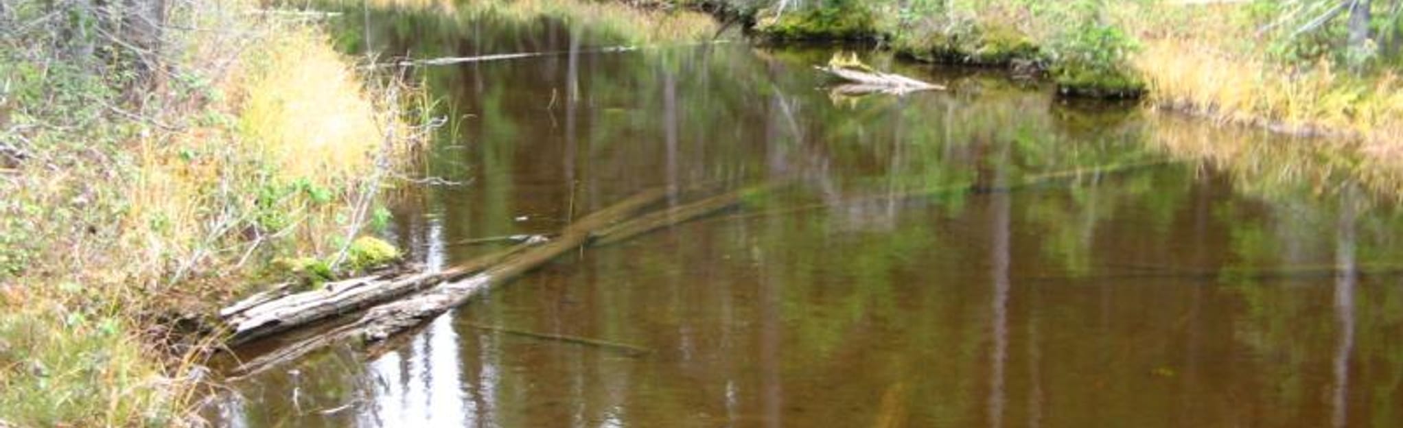 Derickson Lake: 3 Reviews, Map - British Columbia, Canada | AllTrails