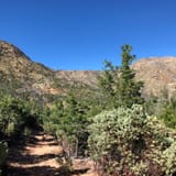 Highline National Recreation Trail, Arizona - 123 Reviews, Map | AllTrails