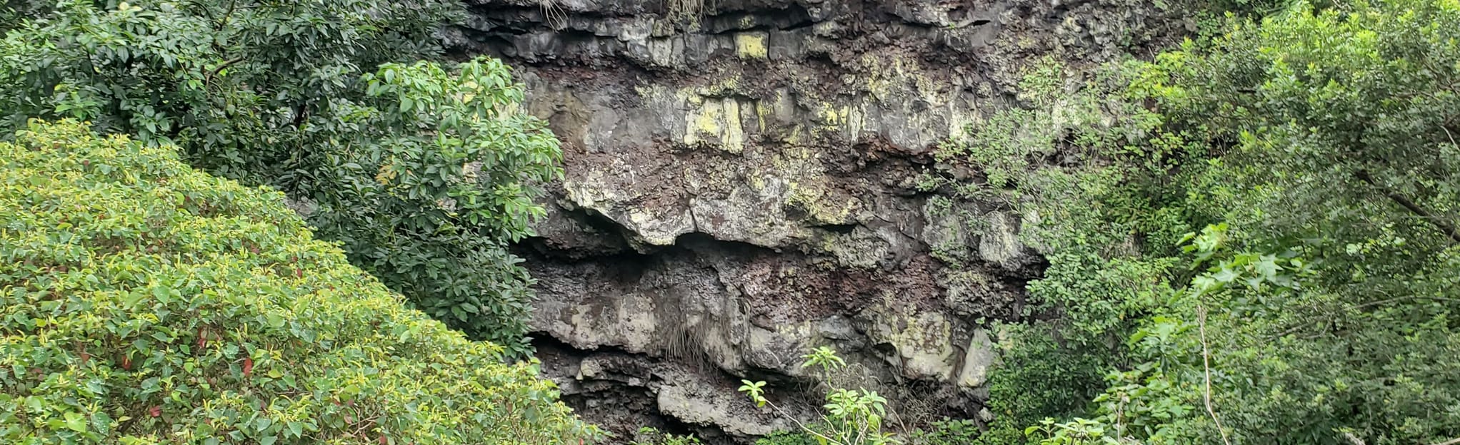 Manuka Nature Trail - Hawaii, Hawaii | AllTrails