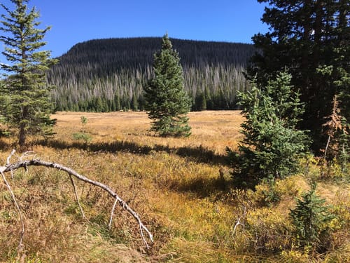 Best 10 Hikes and Trails in Rawah Wilderness | AllTrails