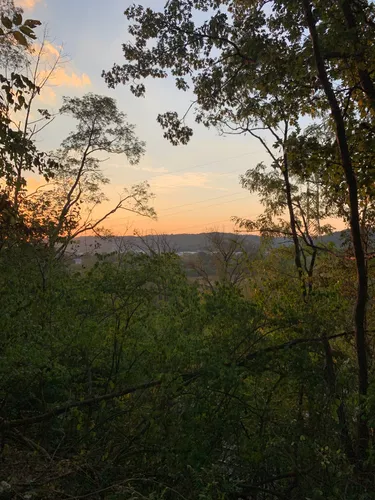 Best Hikes and Trails in Devou Park | AllTrails