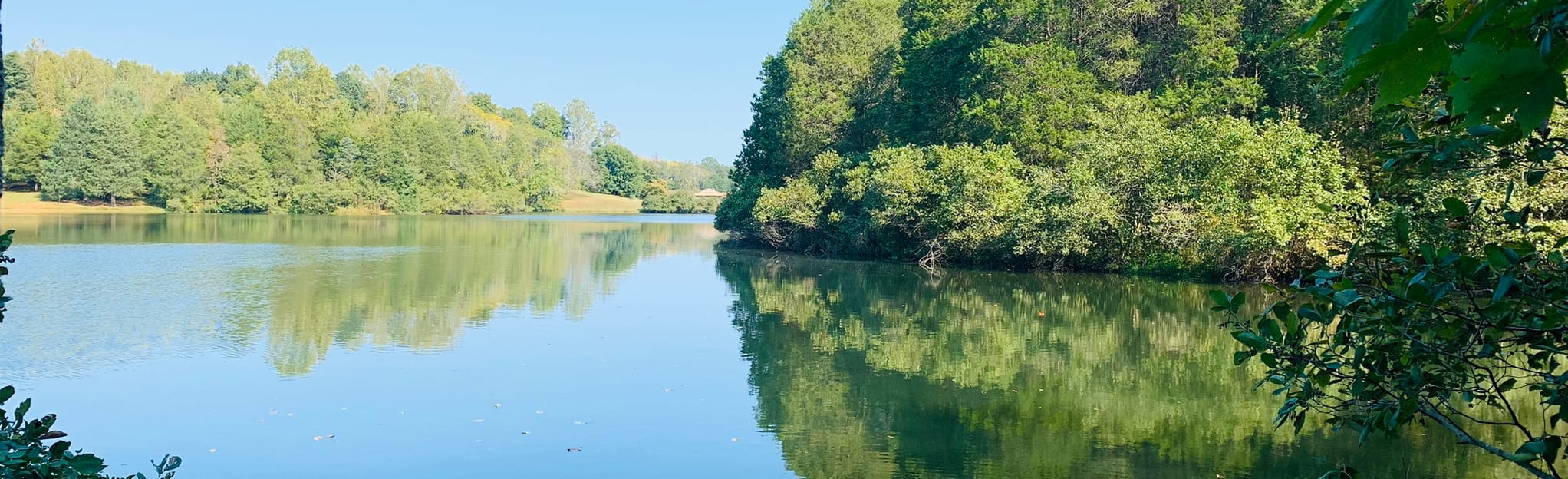 Running Cedar to Turkey Trail Loop: 123 Reviews, Map - Virginia | AllTrails