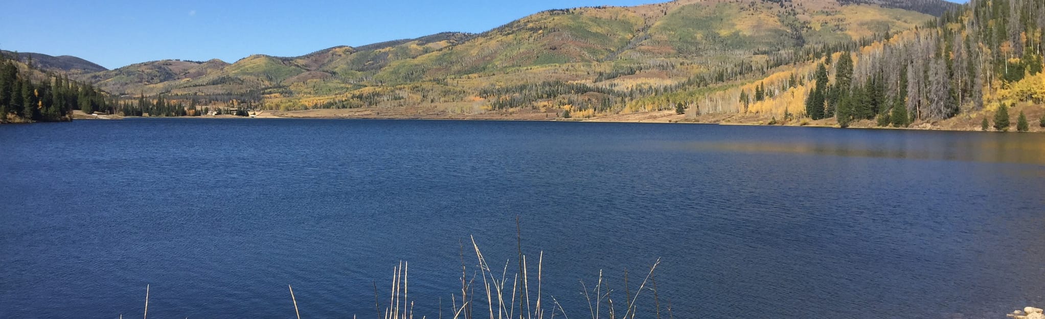Pearl Lake Trail, Colorado - 127 Reviews, Map | AllTrails