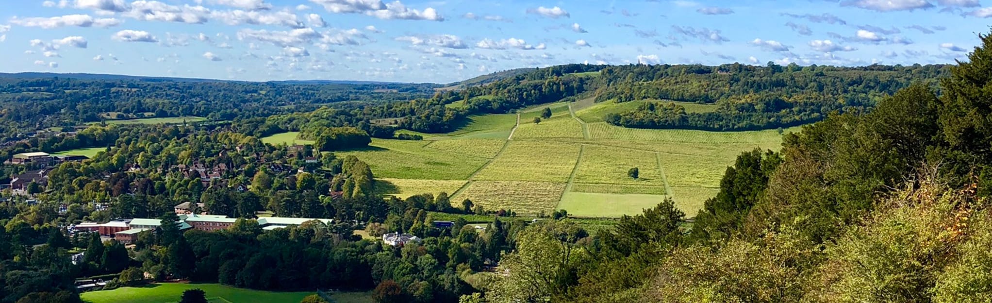 Box Hill Stepping Stones Walk: 753 Reviews, Map - Surrey, England ...