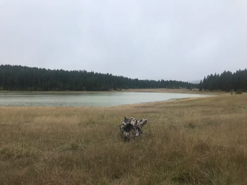 2023 Best Long Trails in Cranbrook Community Forest Recreation Site ...