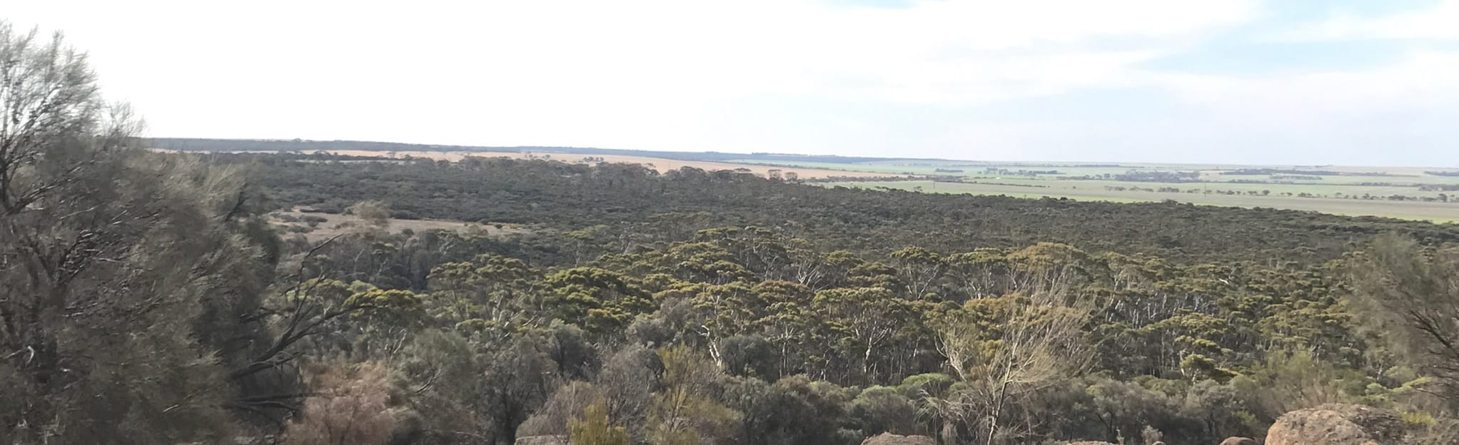Kalari Track - Western Australia, Australia | AllTrails