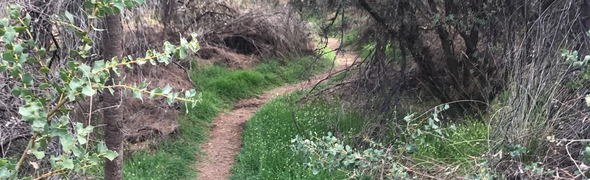 Gnamma Trail : 34 fotos - Austrália Ocidental, Austrália | AllTrails