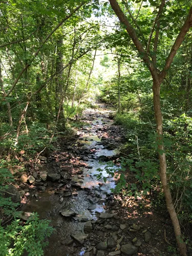 Best Hikes and Trails in G. Richard Thompson Wildlife Management Area ...