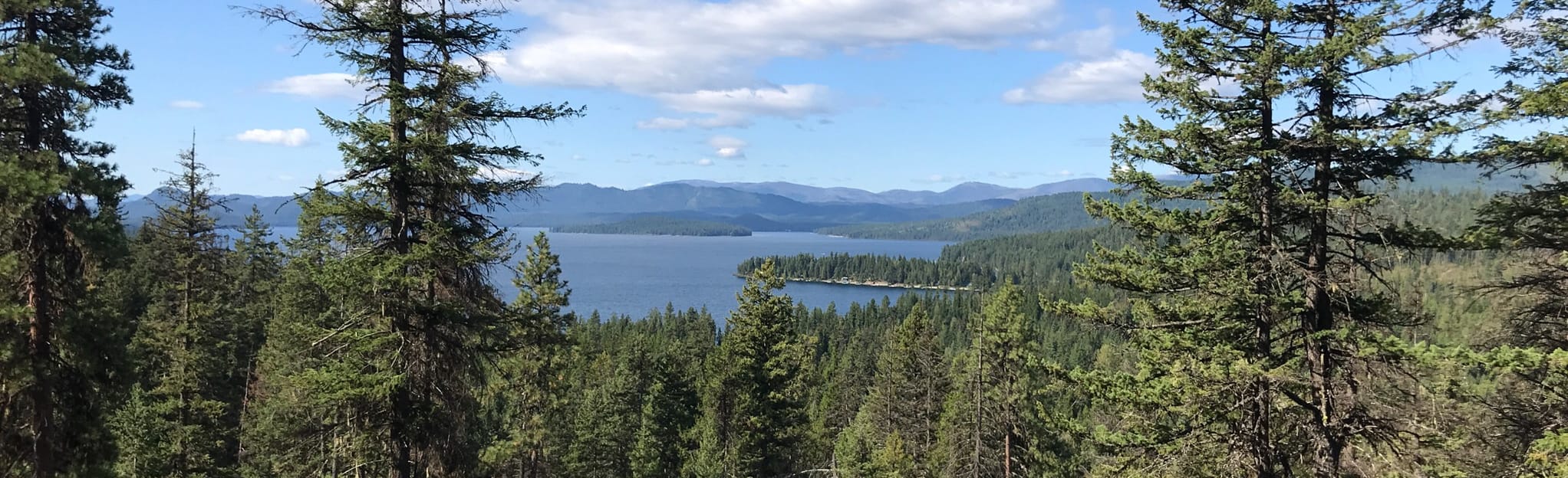Viewpoint Trail Priest Lake, Idaho - 34 Reviews, Map | AllTrails
