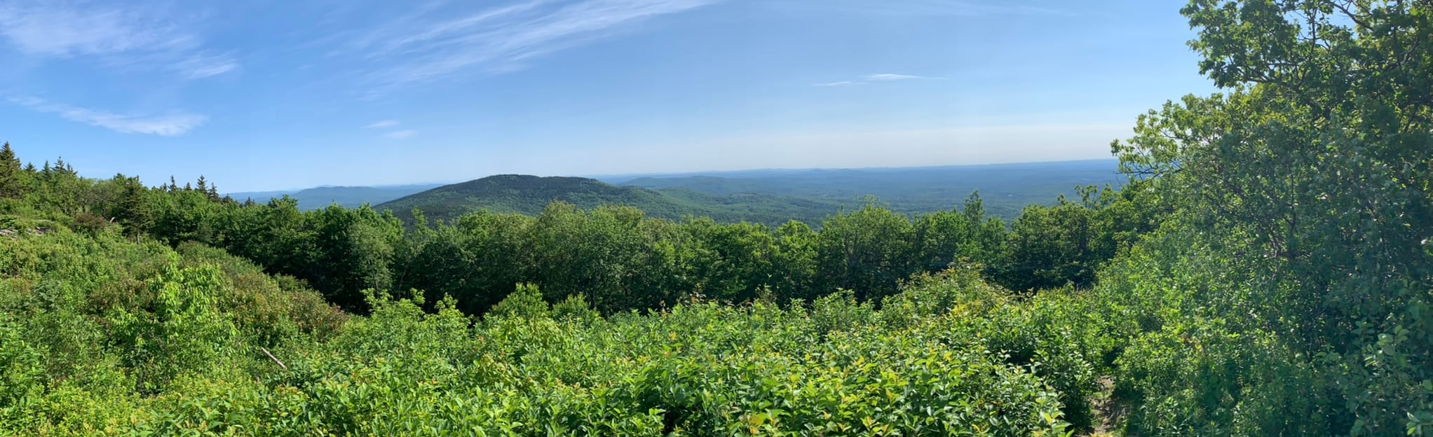 Wapack Trail and Marion Davis Trail: 1,494 Reviews, Map - New Hampshire ...