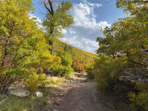 10 Best Trails and Hikes in Midway | AllTrails