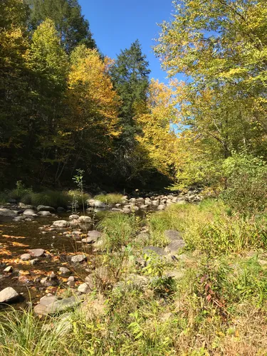 Best Hikes and Trails in Granville State Forest | AllTrails