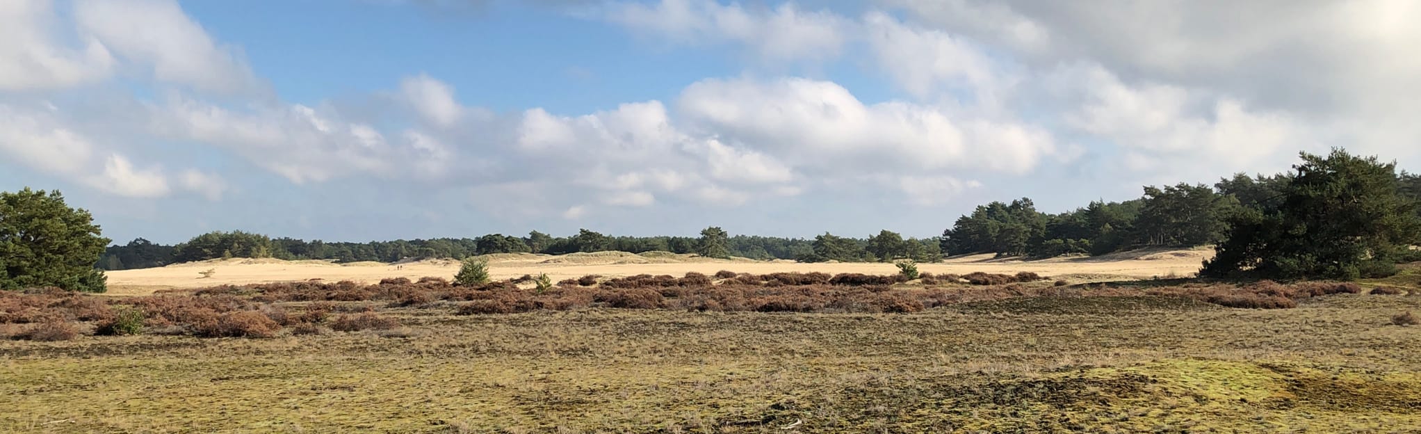 AllTrails | Leuvenumse Beek: 38 Reviews, Map - Gelderland, Netherlands