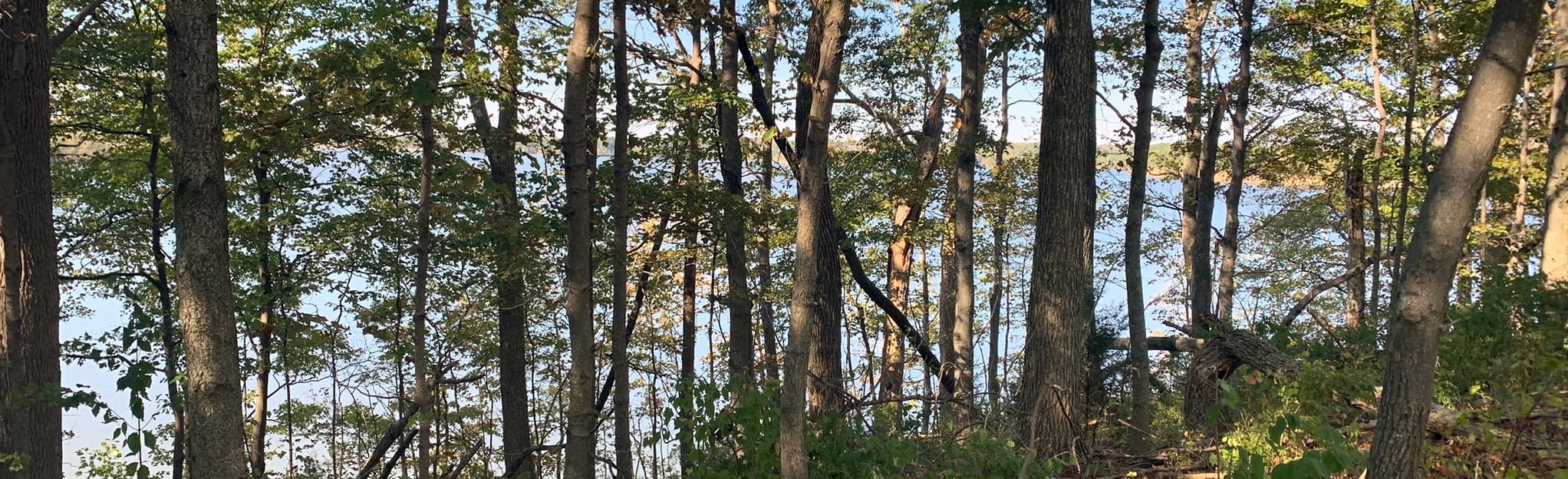 Deer Creek Equestrian Loop: 50 Reviews, Map - Ohio | AllTrails