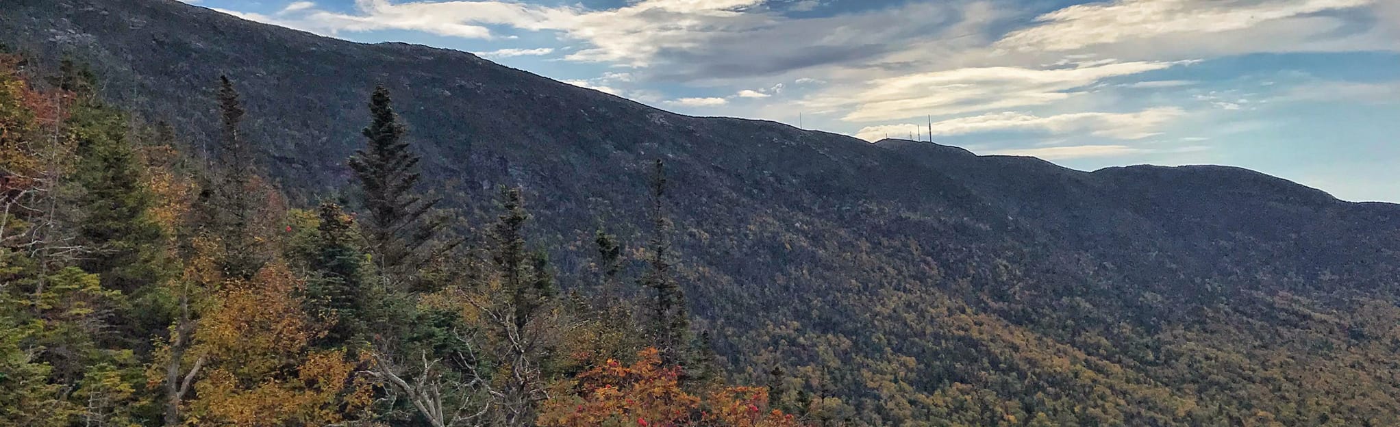 Laura Cowles Trail to Sunset Ridge Trail Loop: 664 Reviews, Map ...