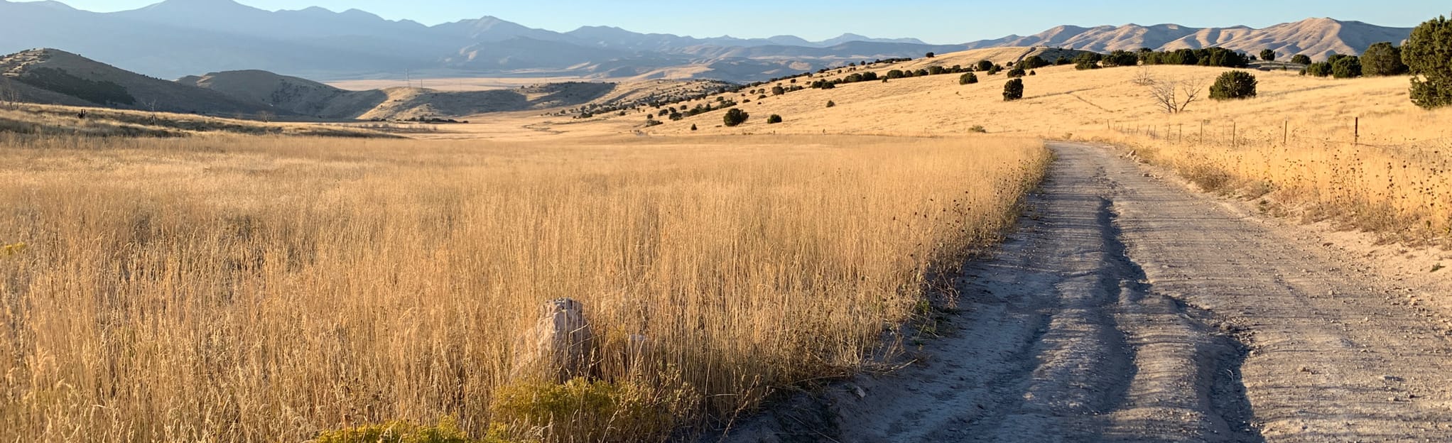 Cedar Grove Loop Trail, Utah - 8 Reviews, Map | AllTrails