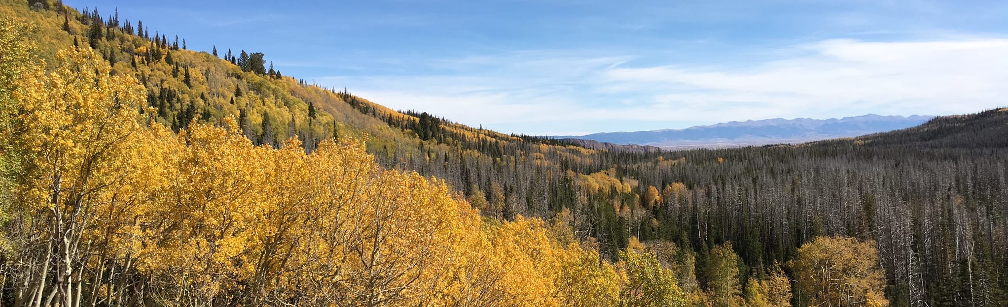 Mount Zirkel, Colorado - 4 Reviews, Map | AllTrails