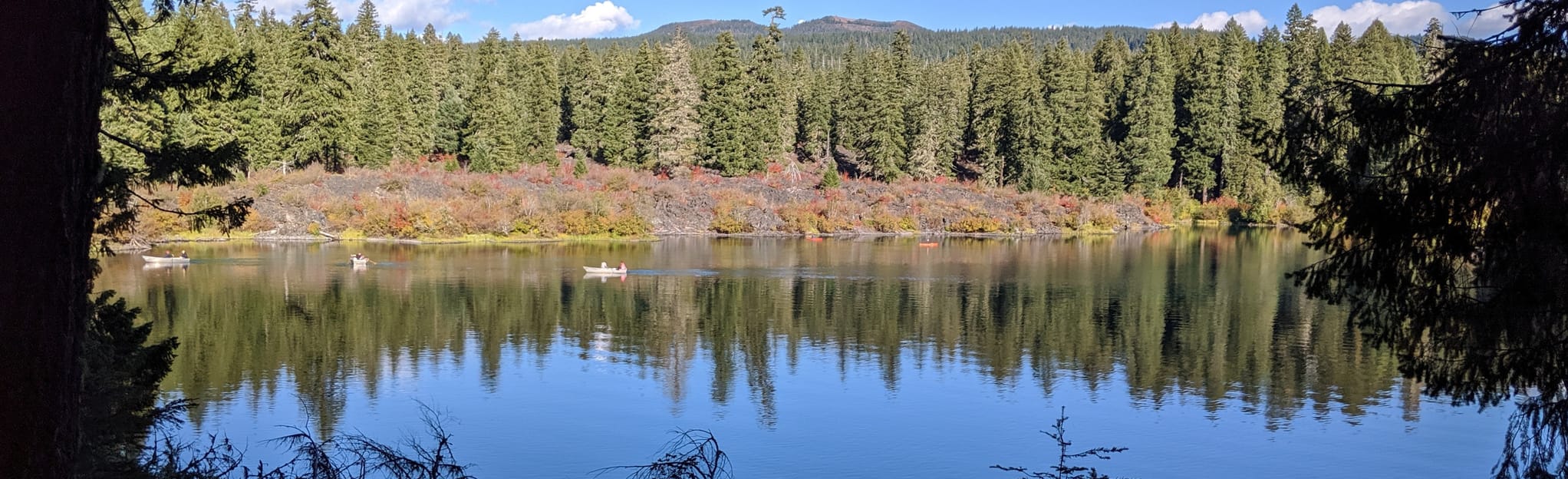 Clear Lake Trail: 674 Reviews, Map - Oregon | AllTrails