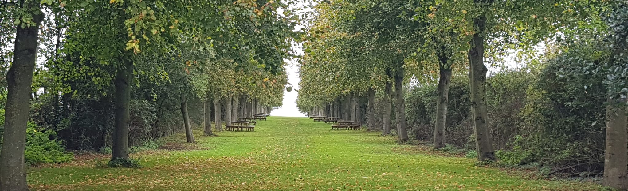 Mickleton, Hidcote Boyce, and Hidcote Manor Gardens Circular ...