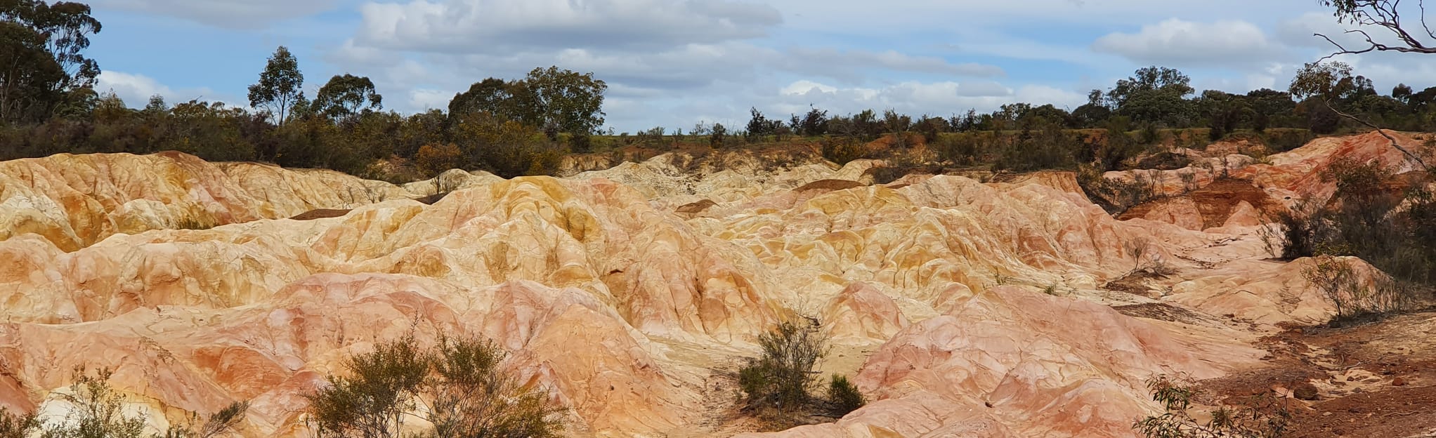 Pink Cliffs Circuit | Mapa, Roteiro - Victoria, Australia | AllTrails