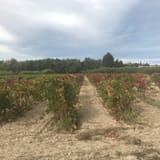Via Domitia: Saint-Rémy-de-Provence, Bouches-du-Rhône, France - 27 ...
