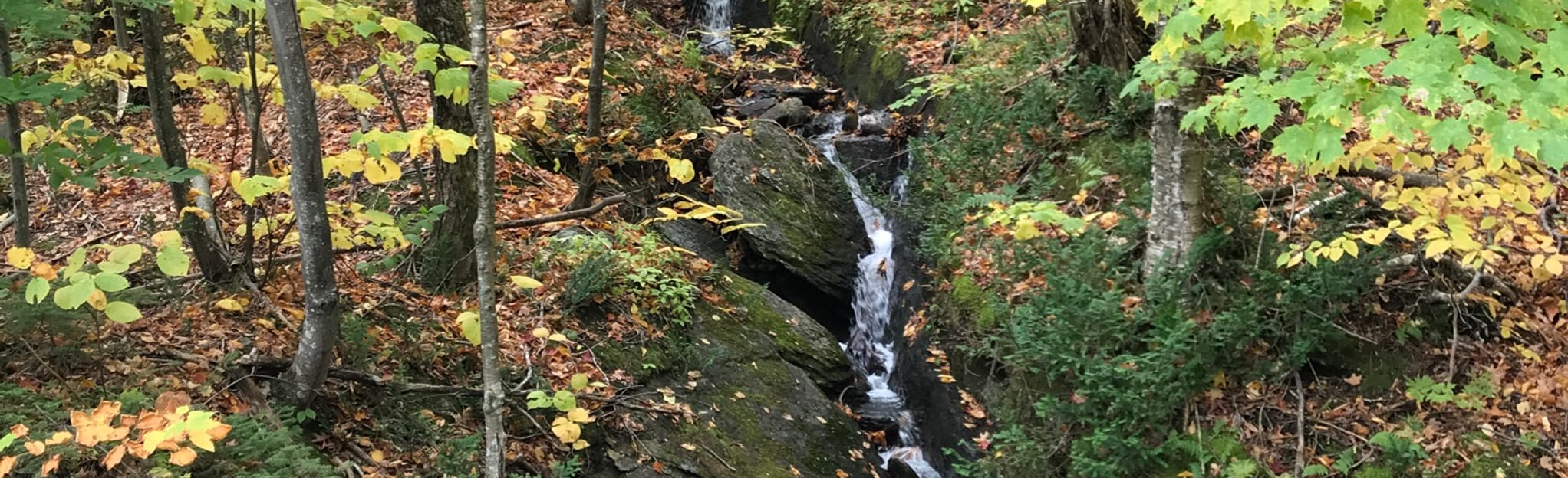 Mount Sutton Loop, Quebec, Canada - 52 Reviews, Map | AllTrails