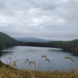 Elkhorn Lake, Virginia - 24 Reviews, Map | AllTrails