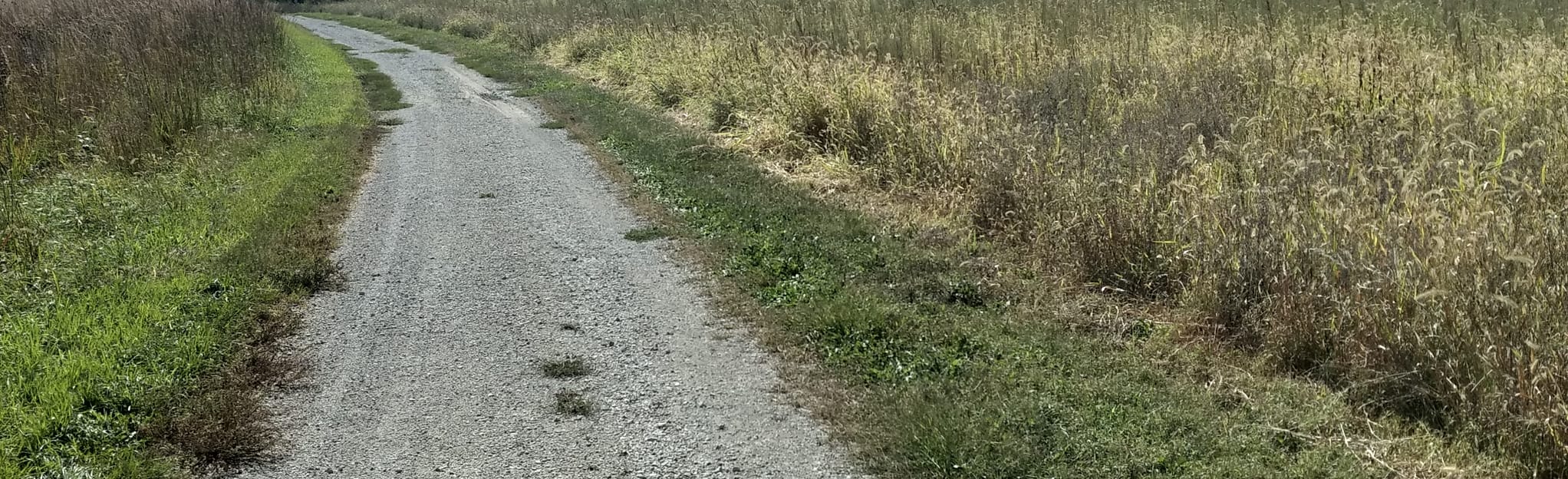 Town Loop Trail and Steve Garst Trail, Iowa - 24 Reviews, Map | AllTrails