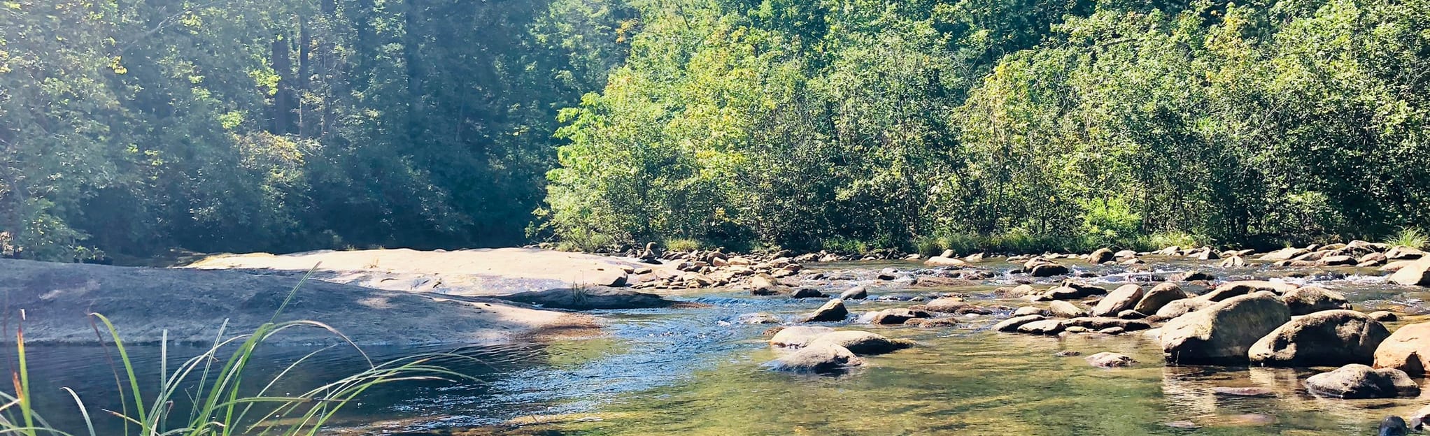 Foothills Trail - A4 to A8, South Carolina - 59 Reviews, Map | AllTrails