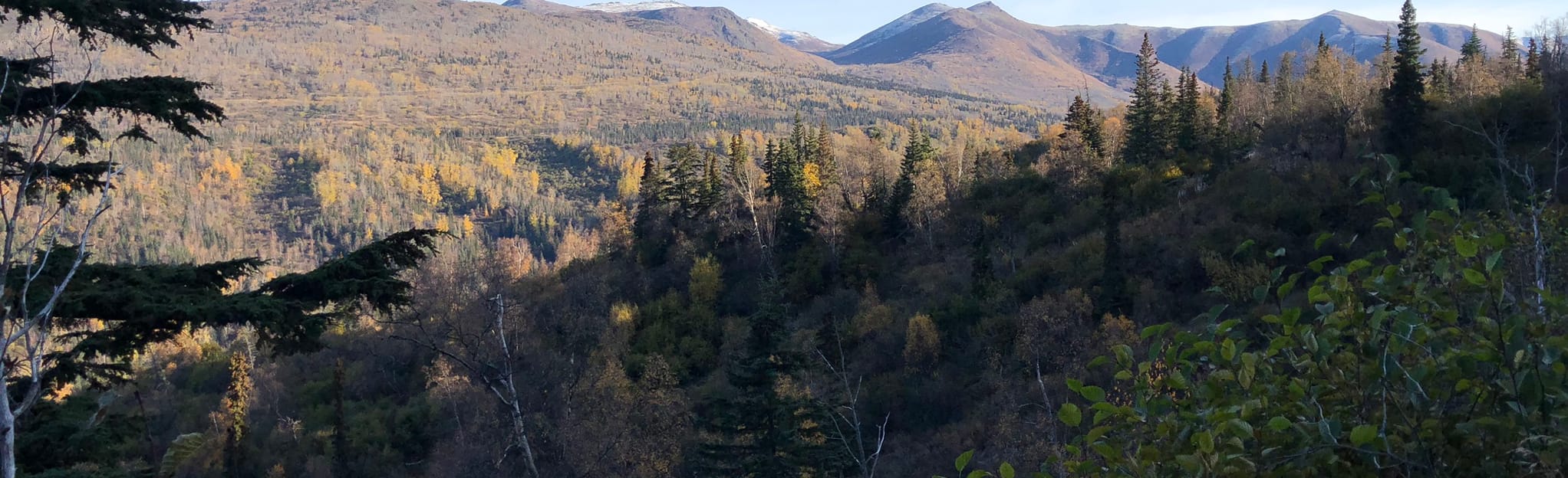 Snowhawk Trail to Cabin, Alaska - 10 Reviews, Map | AllTrails