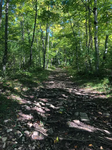 10 Best Hikes and Trails in Peninsula State Park | AllTrails