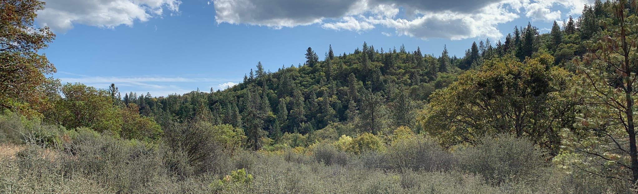 Sarah Zigler Trail, Panorama Point, and Beebe Woods Loop: 171 Reviews ...