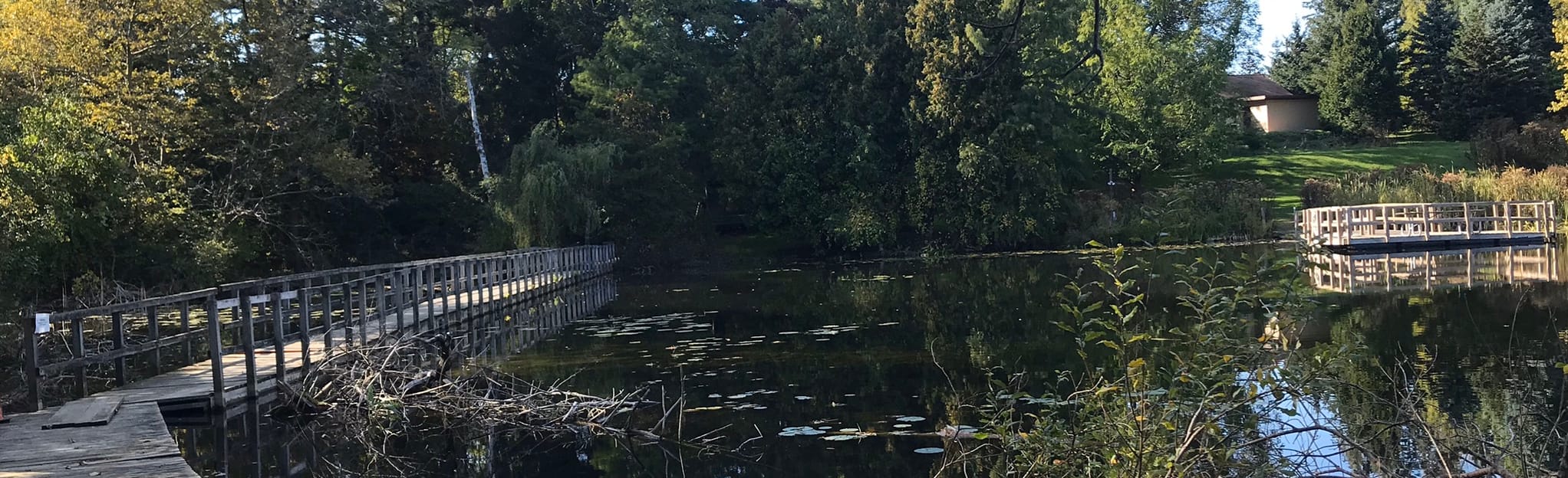 E.L. Johnson Nature Center Loop: 135 Reviews, Map - Michigan | AllTrails