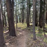 Lower Gaylor Lake Trail, California - 88 Reviews, Map | AllTrails